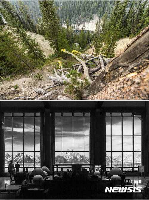 다큐사진그룹 p325 '랑데뷰 위드 네이처 옐로우스톤' 展