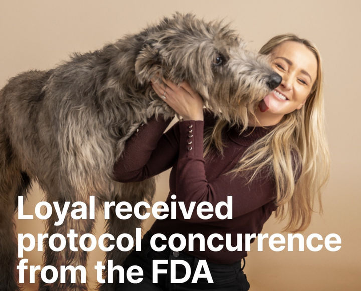 美 FDA, '반려견 생명 연장' 의약품 효과 인정